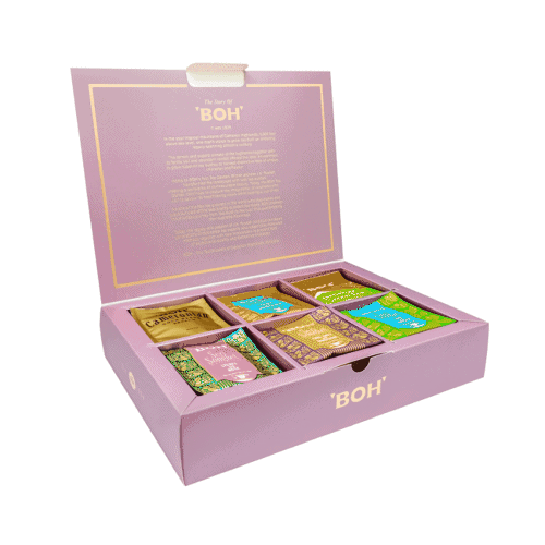 Buy Signature BOH Teas Assorted Tea Variety Gift Set Online - BOH Tea